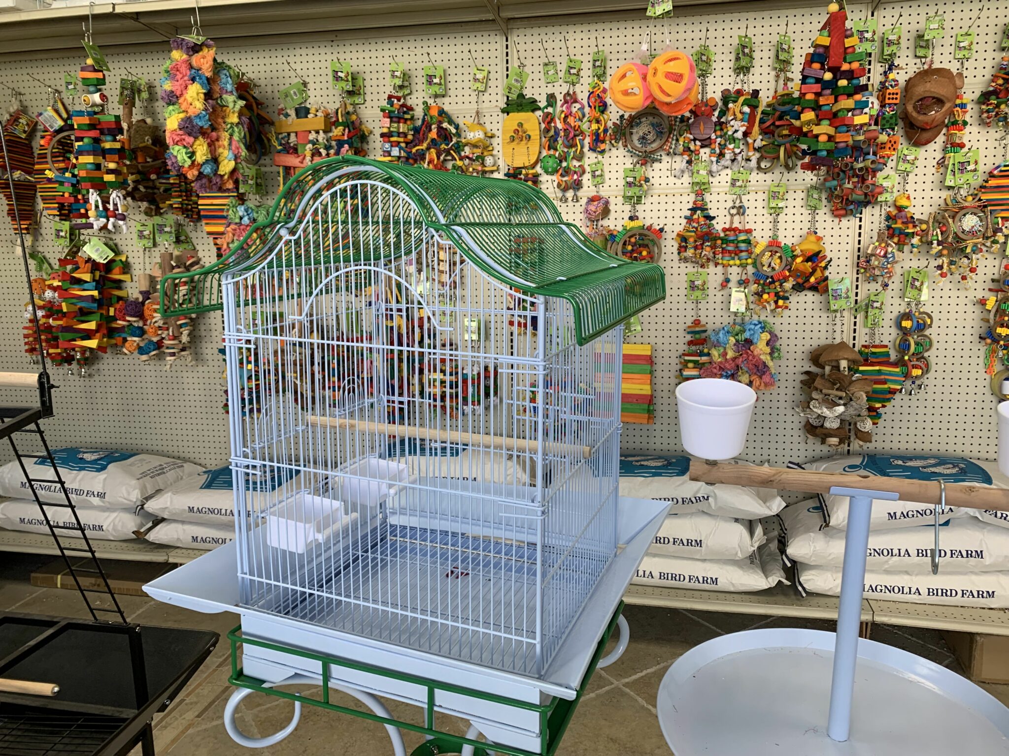 Exotic Birds Unlimited – Coachella Valley Bird Shop
